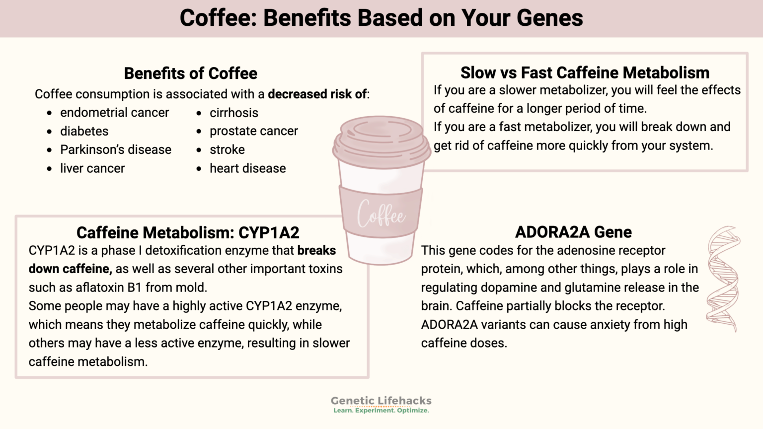 Coffee: Benefits based on your genes - Genetic Lifehacks