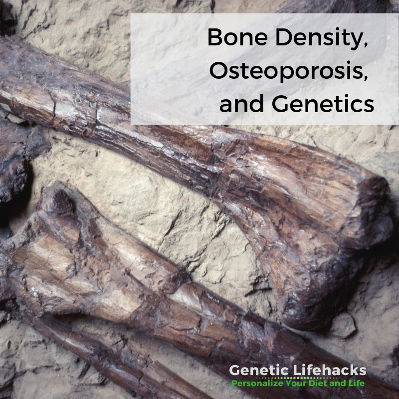 Genetic influences on Osteoporosis – Genetic Lifehacks