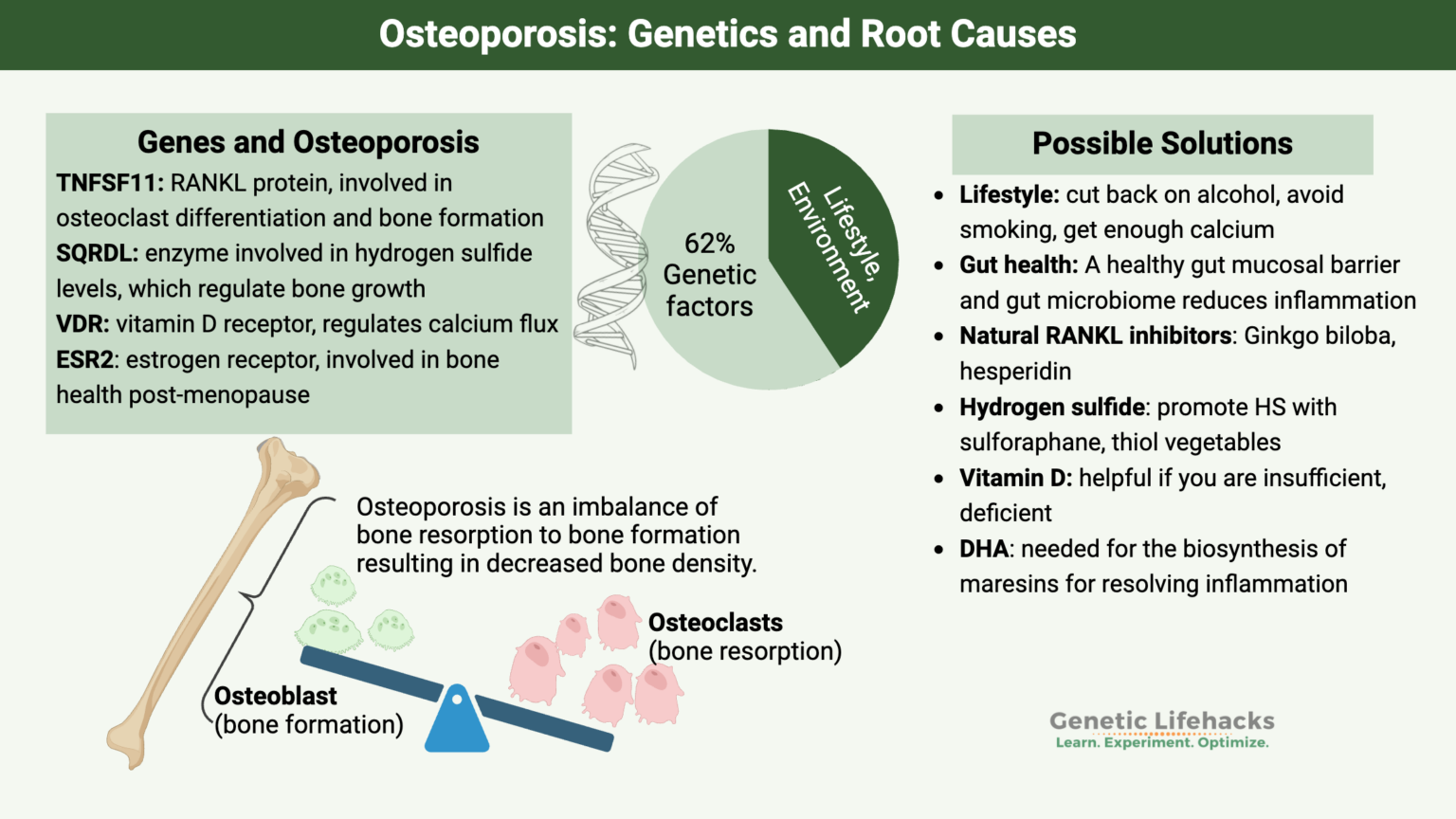 Osteoporosis: Genetic Susceptibility and Prevention Strategies