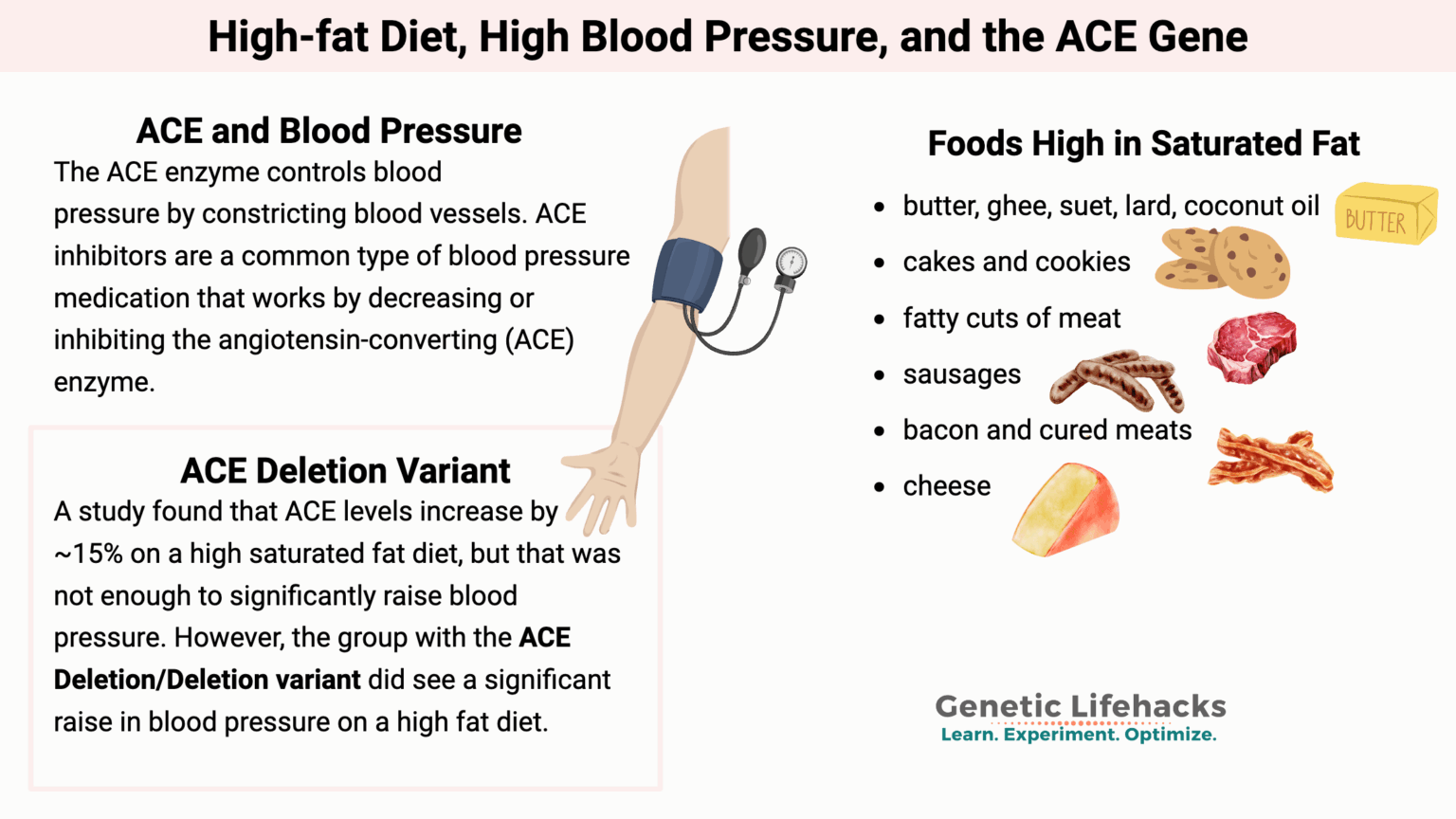 High-fat Diet, High Blood Pressure, and the ACE Gene
