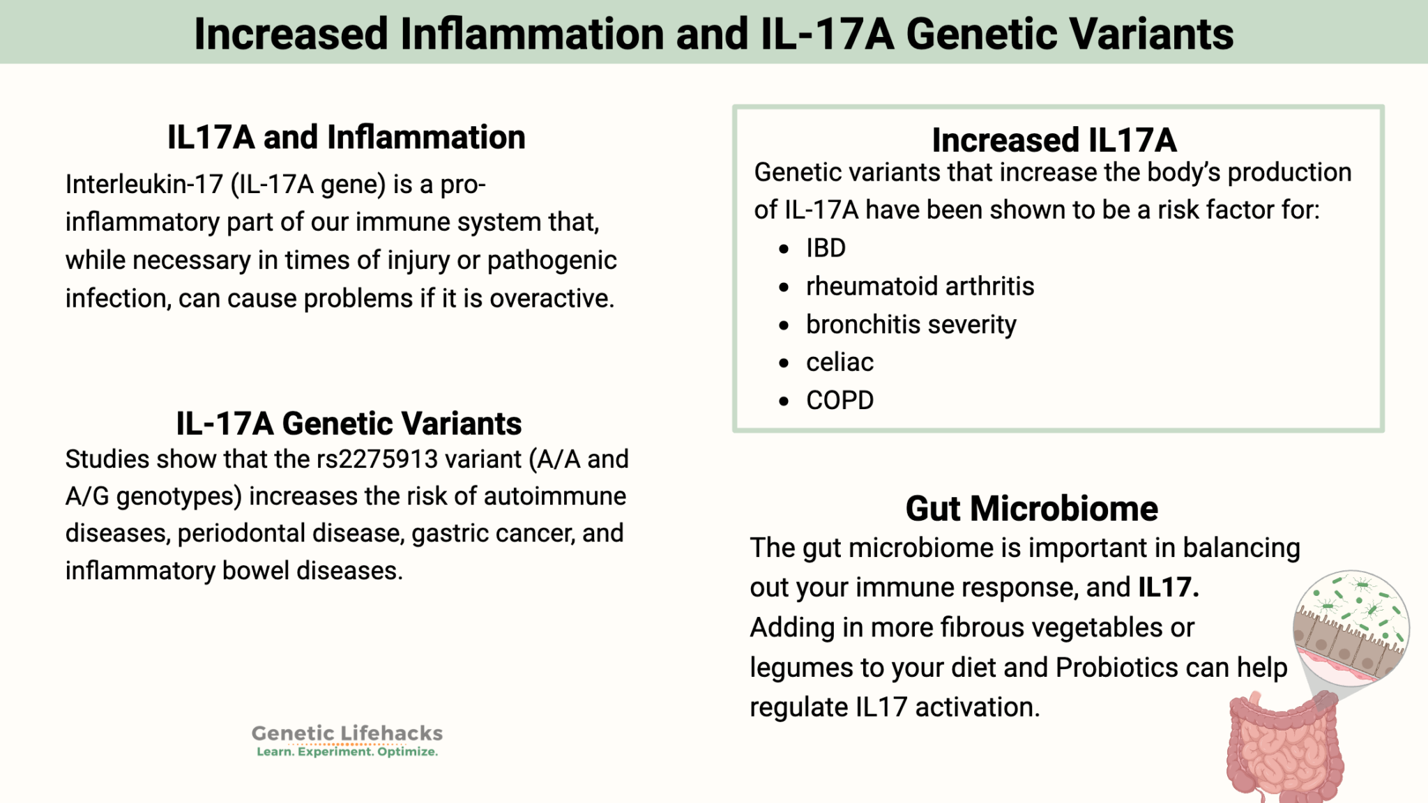 Inflammation and Immune Response