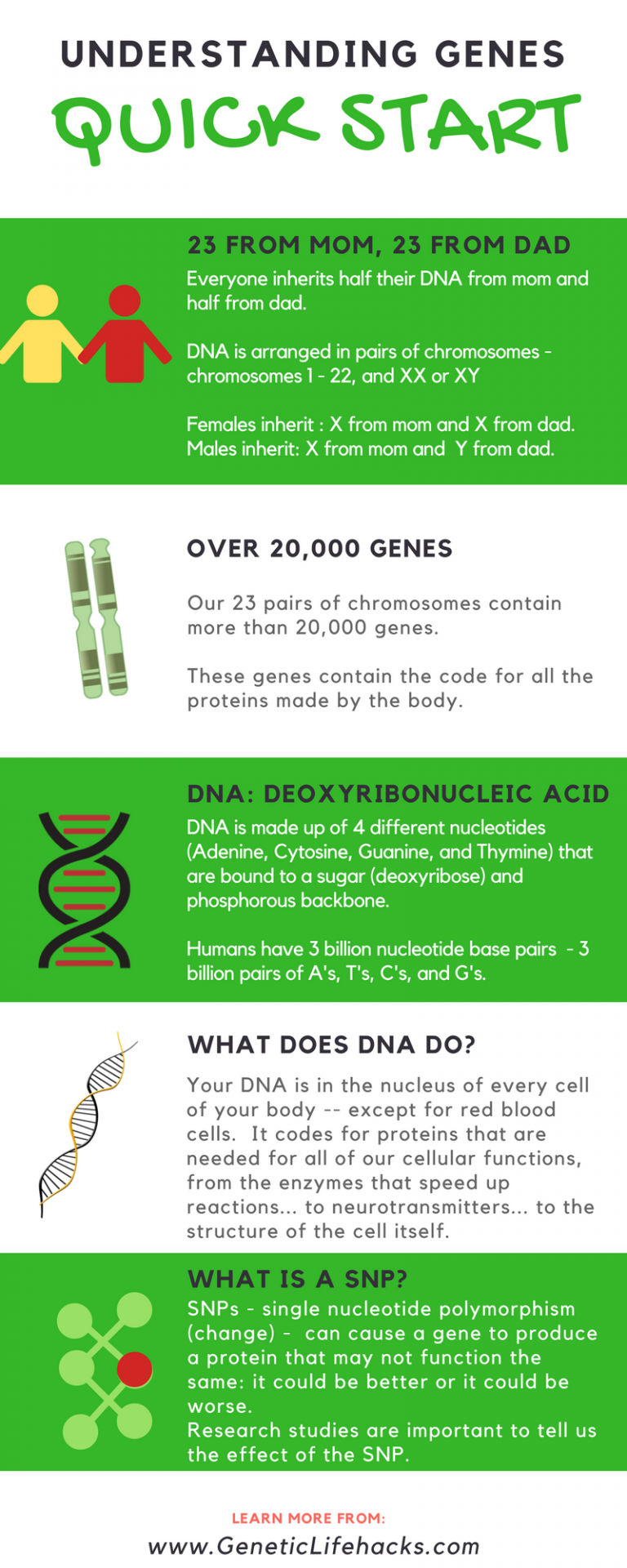 Getting Started With Genetics