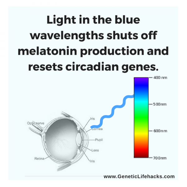 Light at night and cancer risk