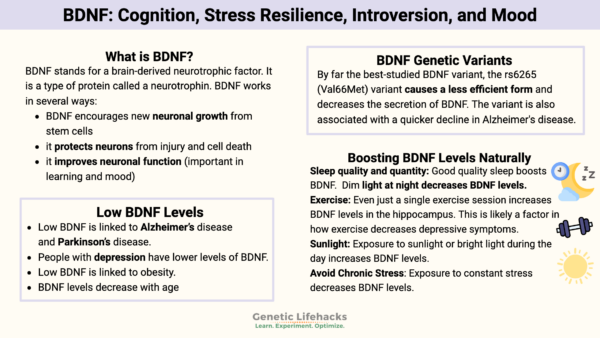 BDNF: Cognition, Stress Resilience, Introversion, and Mood