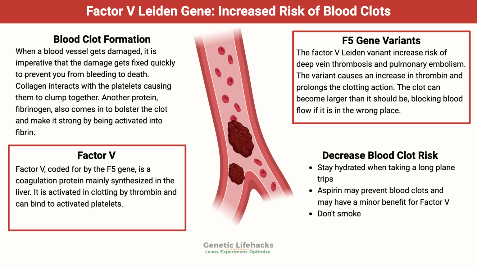 Factor V Leiden Gene: Increased Risk of Blood Clots