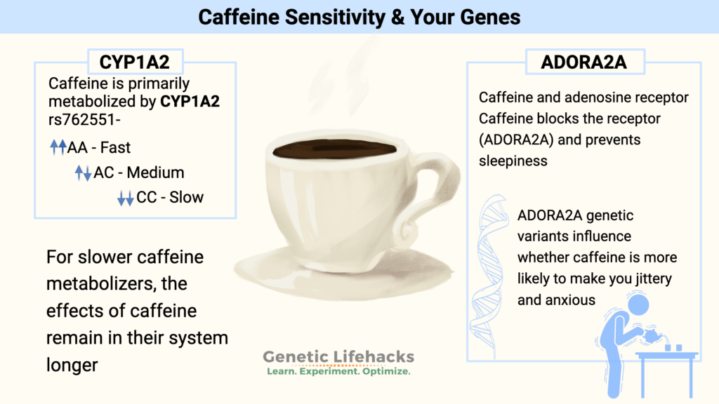Caffeine Sensitivity and Your Genes