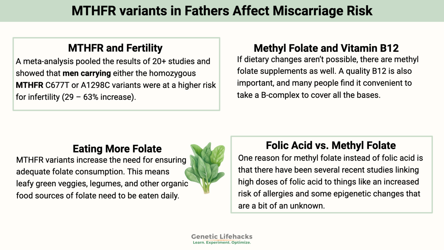 MTHFR in Dads: Miscarriage Risk Factor