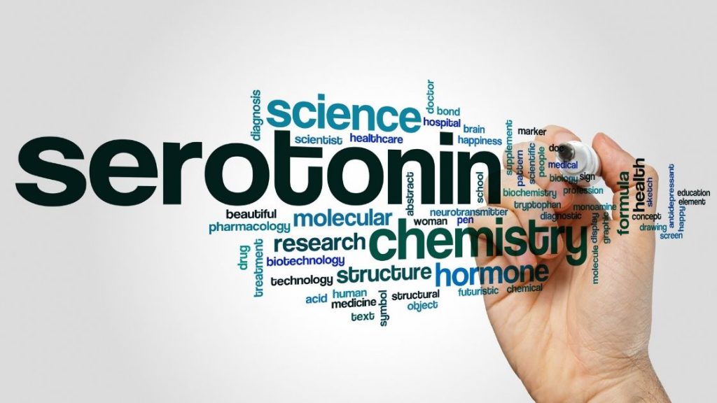 Your genes affect your serotonin levels - Genetic Lifehacks