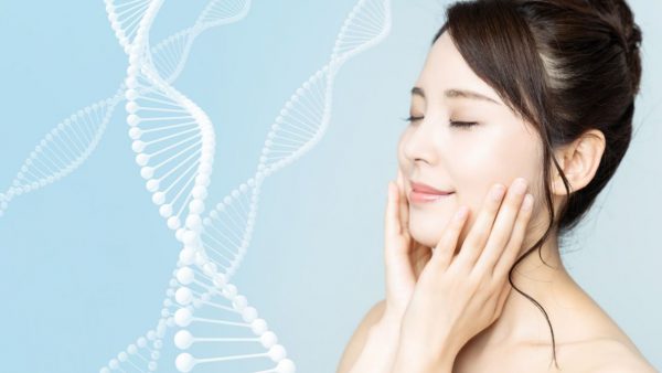 Telomere Length and Aging: Genetic Connection