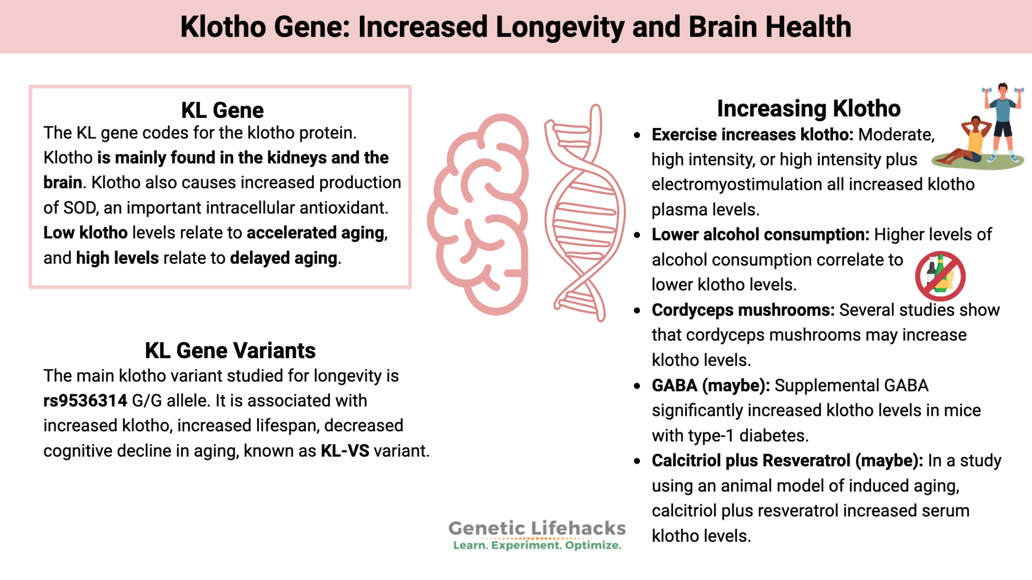 Klotho Gene: Increased Longevity and Brain Health