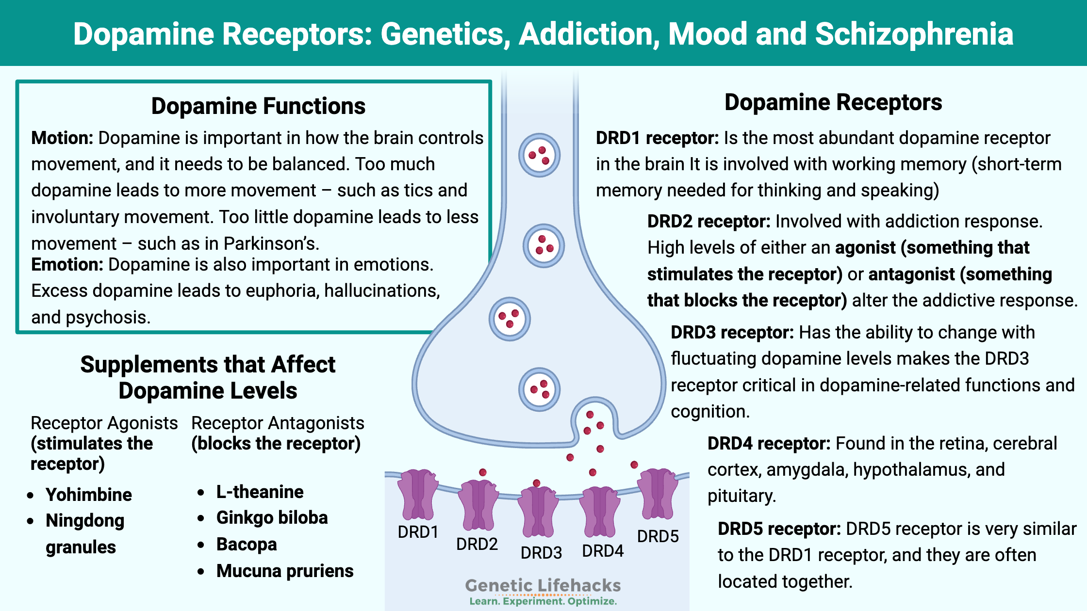 Dopamine SNPs: Addiction, Mood, ADHD, and Schizophrenia