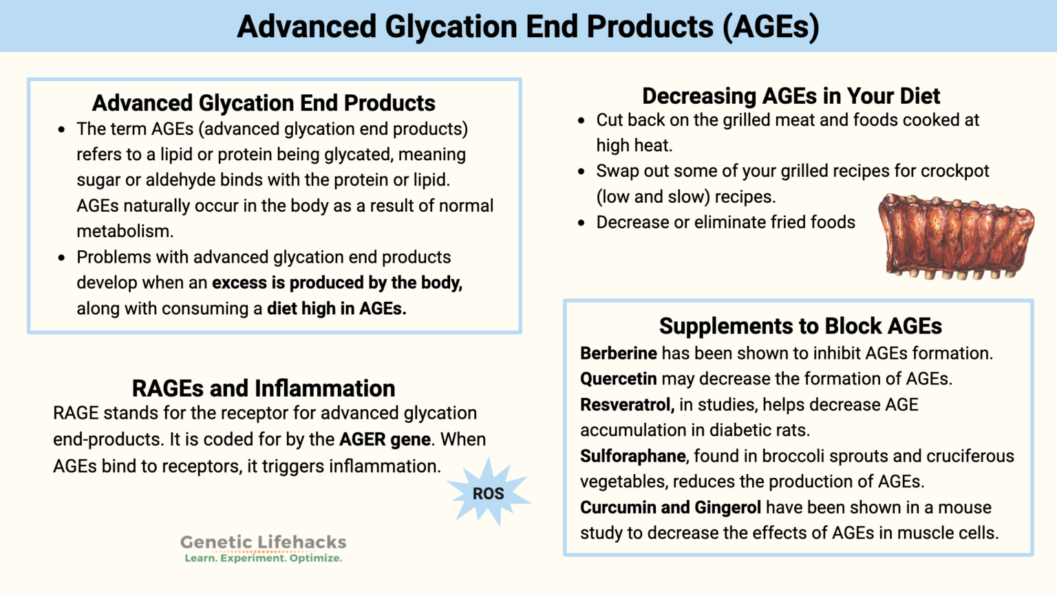 Advanced Glycation End Products (AGEs): Genetics, Lifestyle, and Health ...