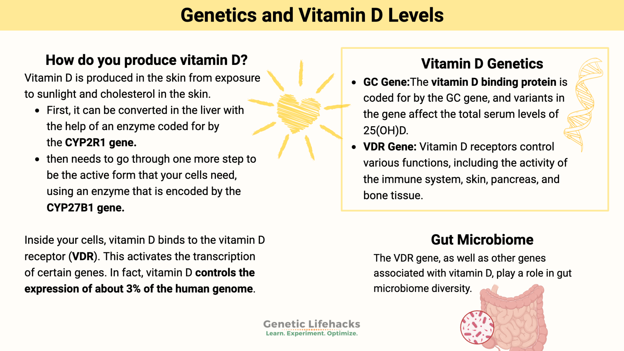 Vitamin D Genes