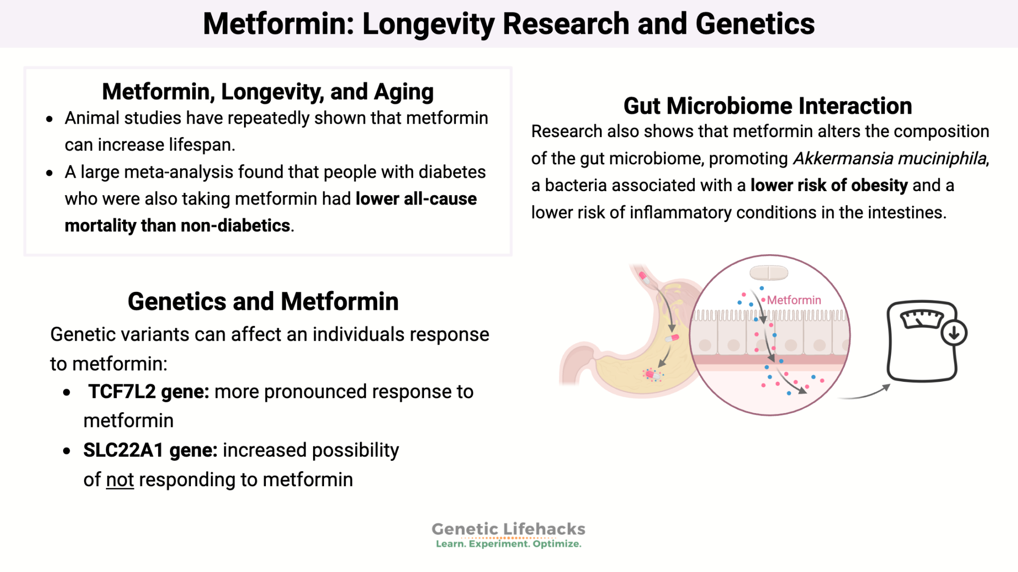 Metformin: Longevity Research and Genetics - Genetic Lifehacks