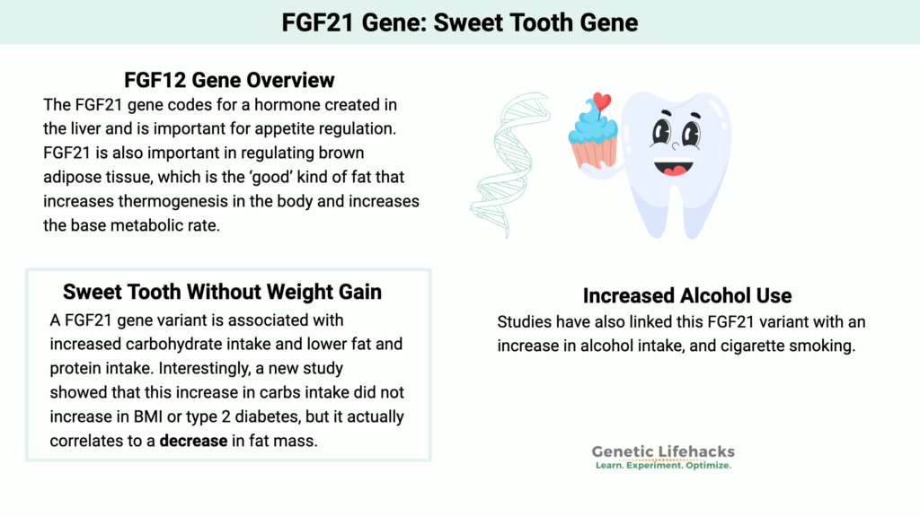 FGF21 Gene: Sweet Tooth, No Weight Gain