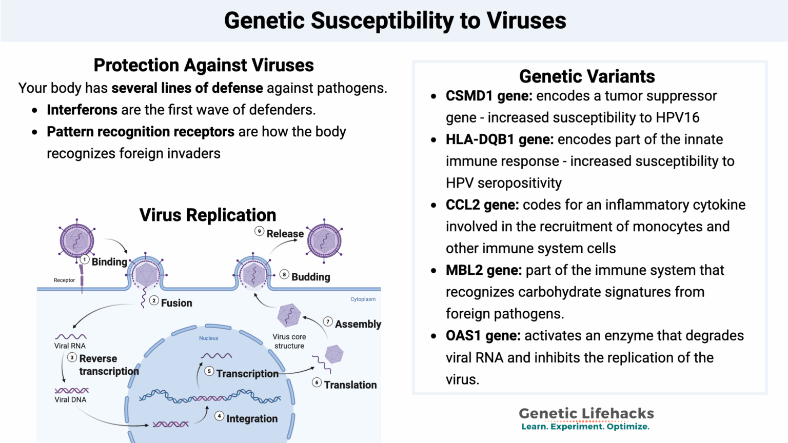 Genetic Susceptibility to Viruses