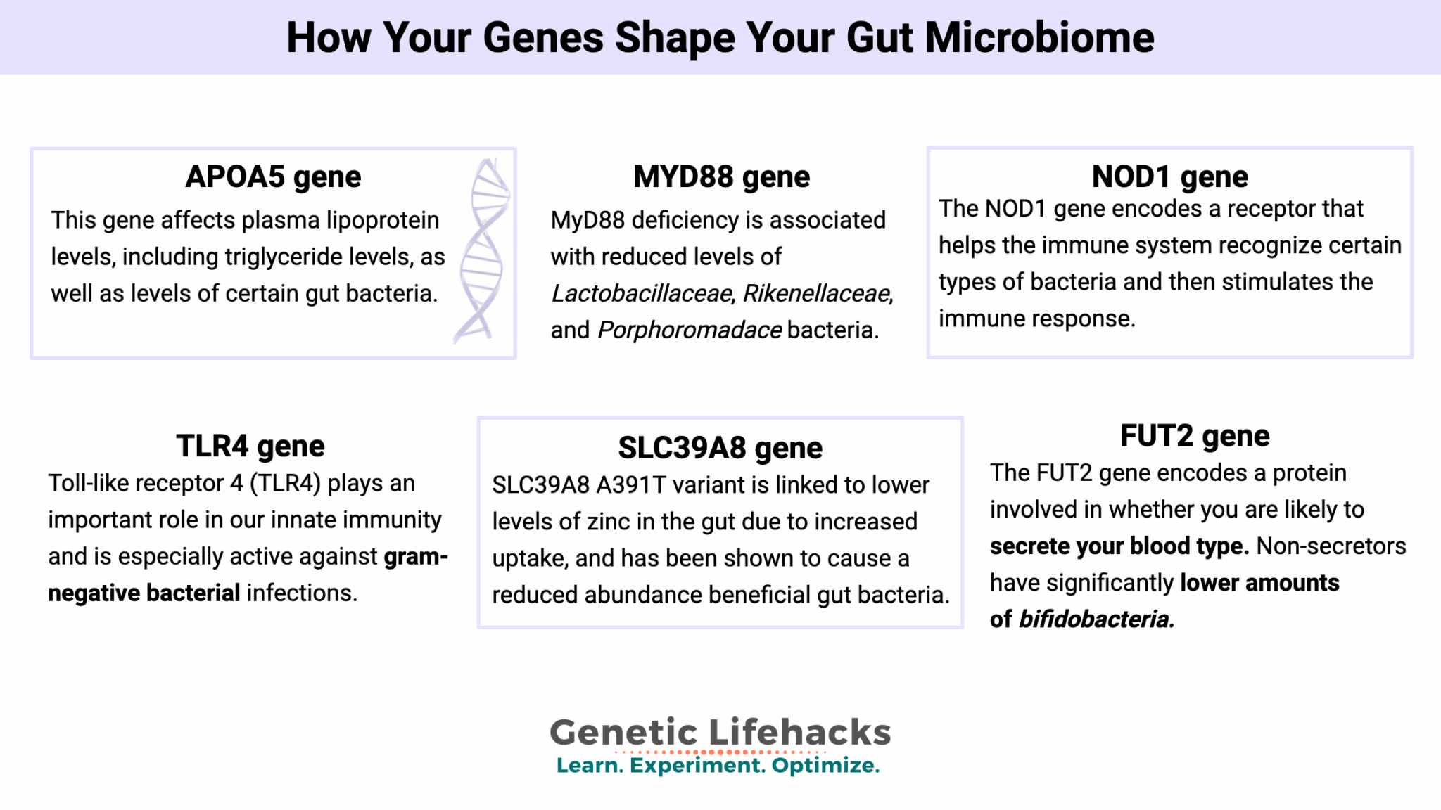How Your Genes Shape Your Gut Microbiome