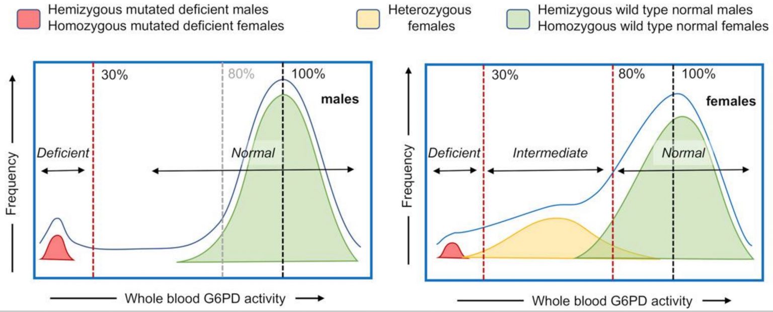 How to Check Your Genetic Data for G6PD Deficiency