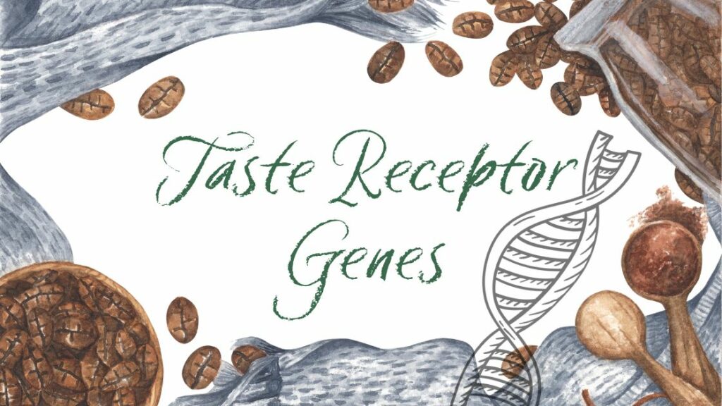Taste Receptors: Bitter, sweet, and much more