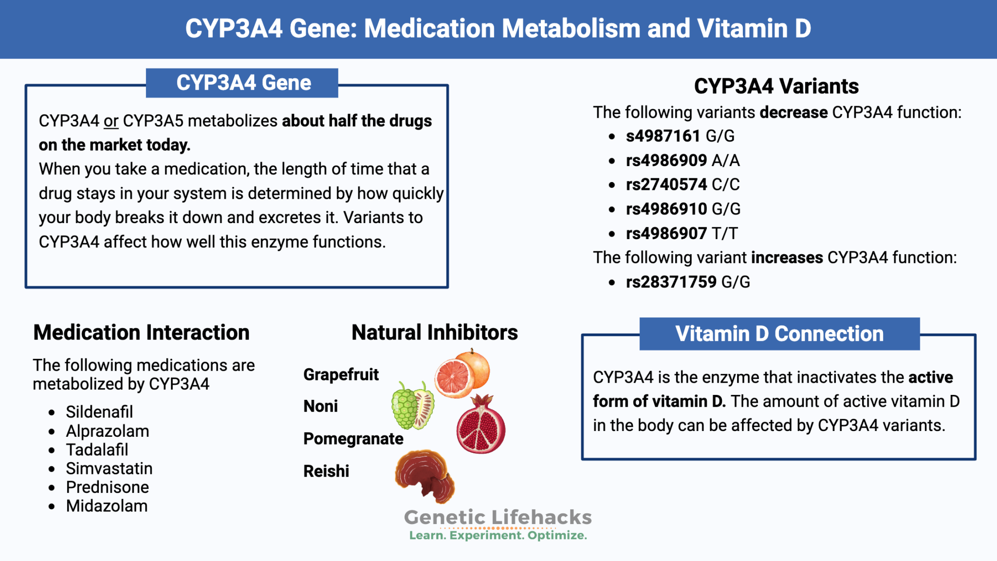 CYP3A4 Gene: Impacting Prescription Drugs - Genetic Lifehacks