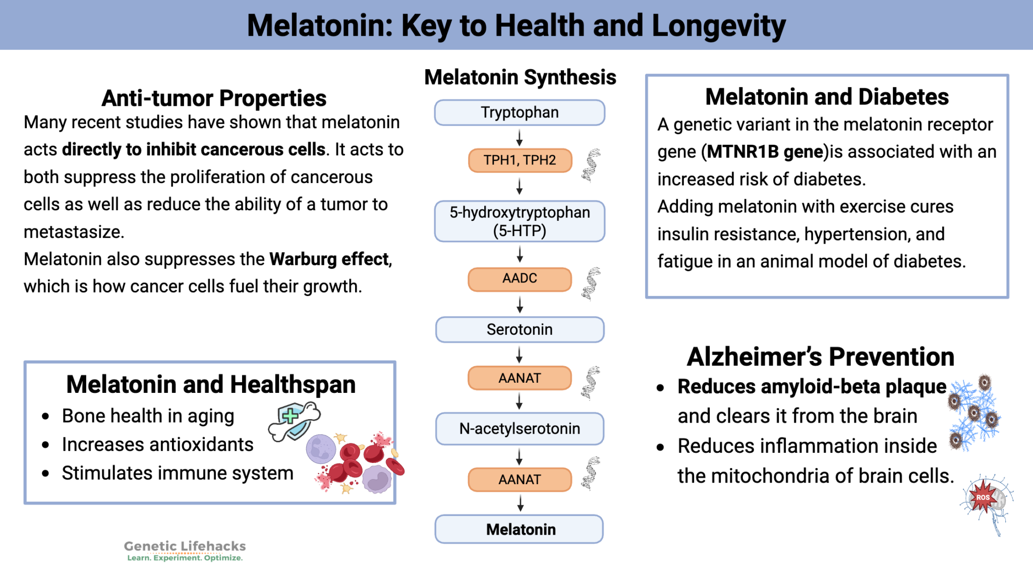 Melatonin: Key to Health and Longevity - Genetic Lifehacks