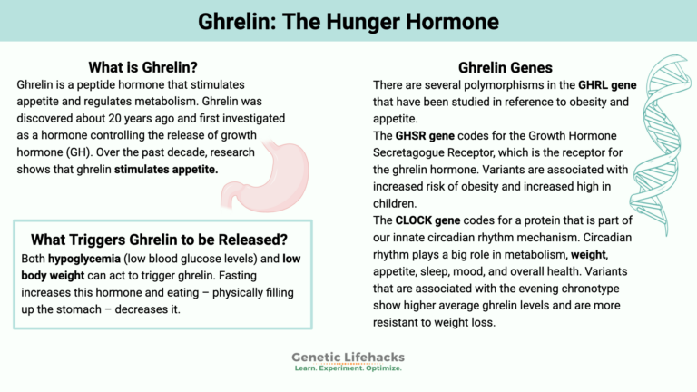 Ghrelin: The Hunger Hormone