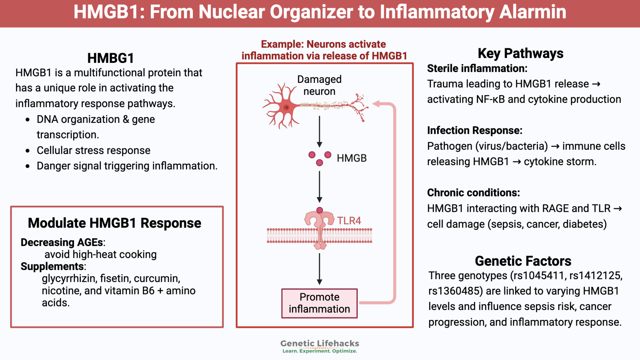 HMGB1 gene: inflammatory response protein important in sepsis and COVID-19