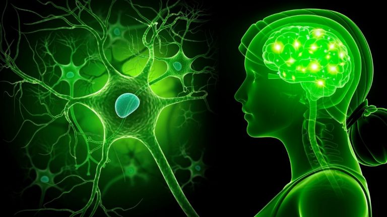 TREM2 and Alzheimer's Disease Risk - Genetic Lifehacks