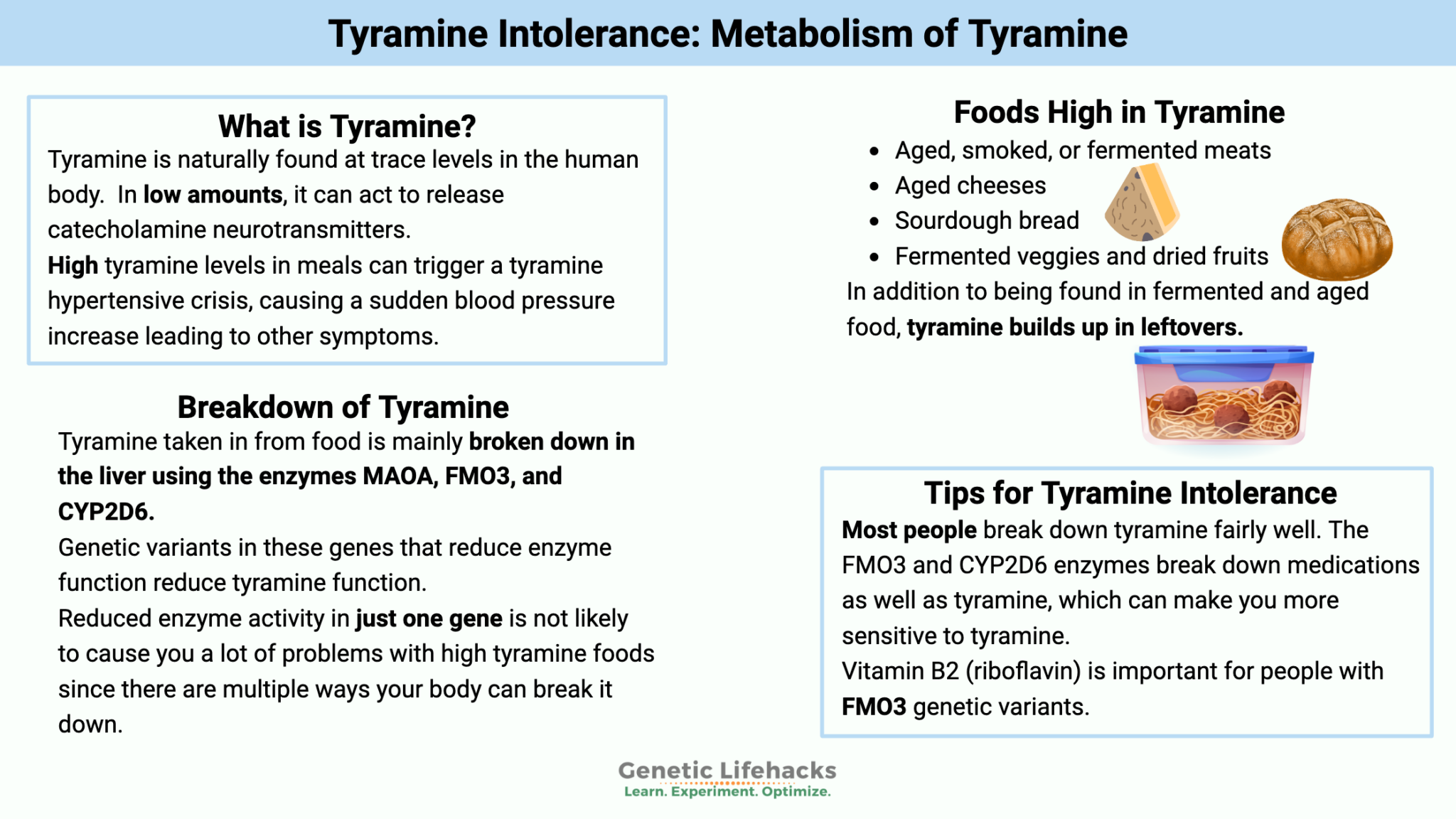 Tyramine Intolerance: Genetics and the Metabolism of Tyramine