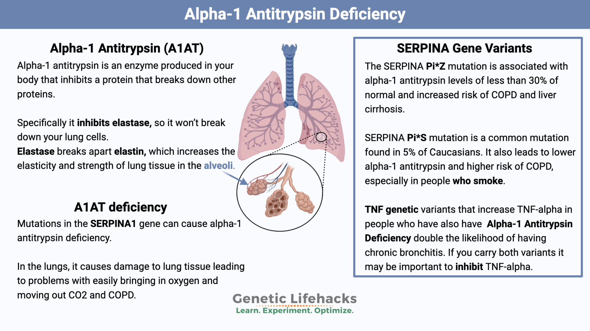 Alpha-1 Antitrypsin Deficiency: Genetic Raw Data, Carrier Effects ...