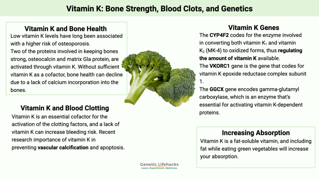 Personalized Nutrition Articles - Nutrients and Your Genes