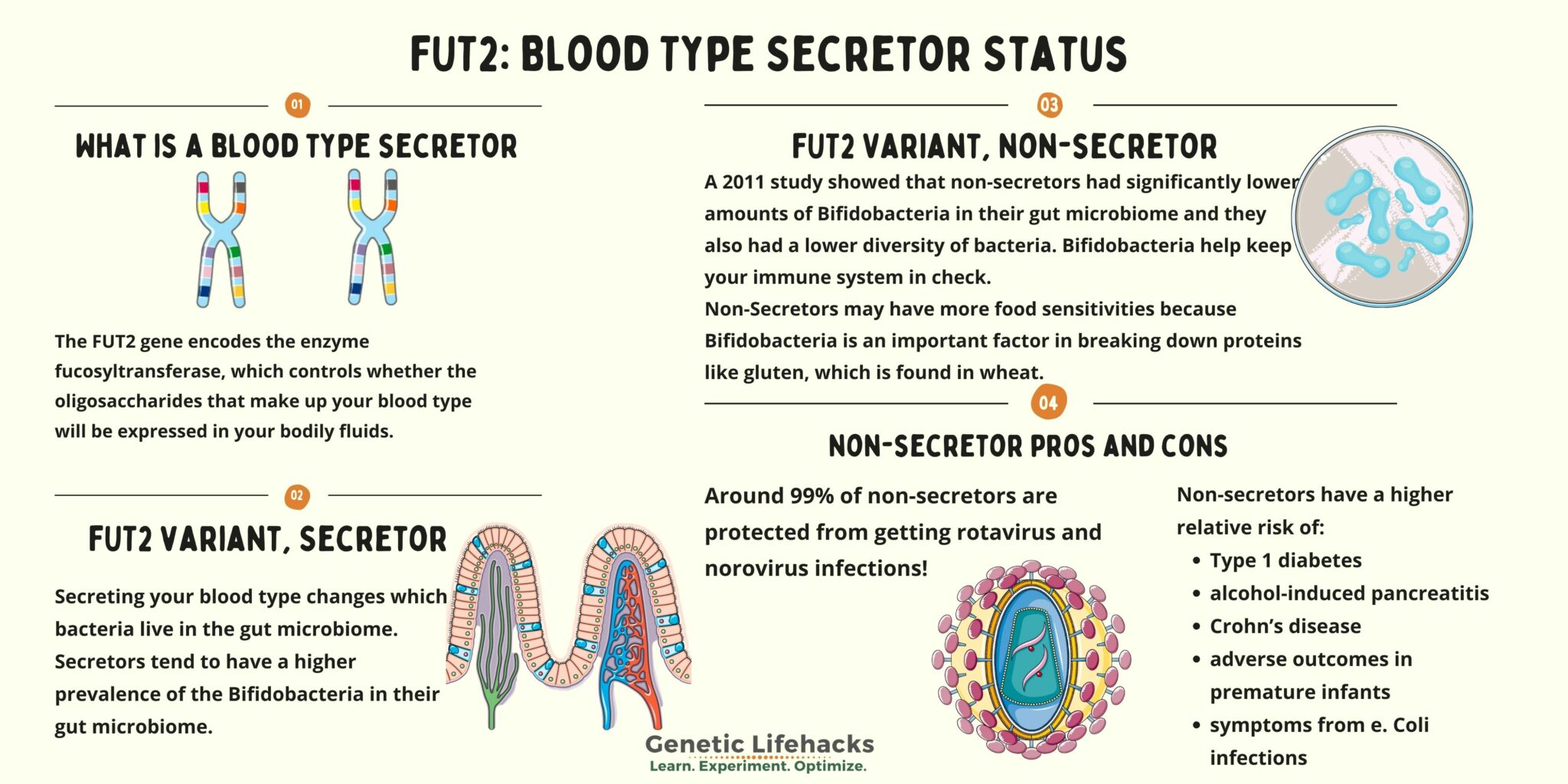 Secretor Or Non secretor How To Check Your Genes