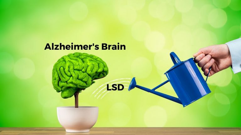 Serotonin 2A receptor: Psychedelic response and Alzheimer's disease