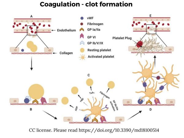 Blood clots, Platelets, and Adenoviruses