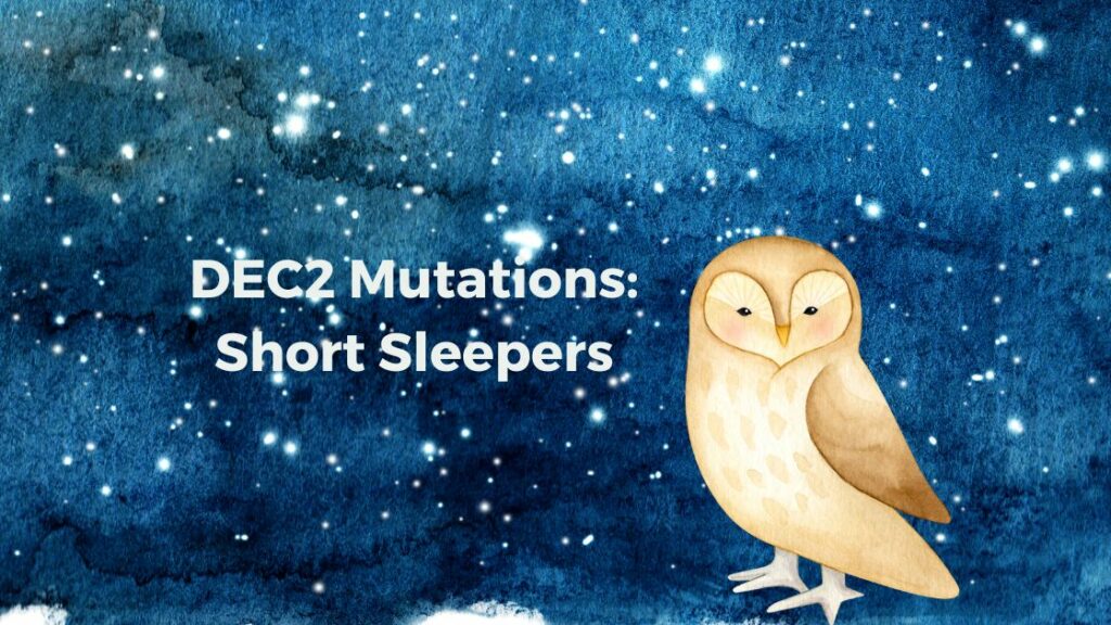 DEC2 Gene: Short Sleep Mutation