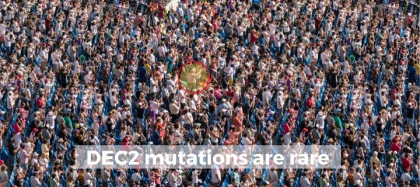 DEC2 Gene: Short Sleep Mutation