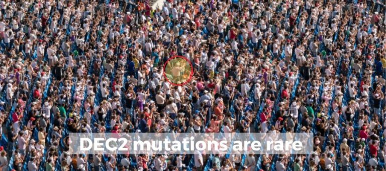 DEC2 Gene: Short Sleep Mutation