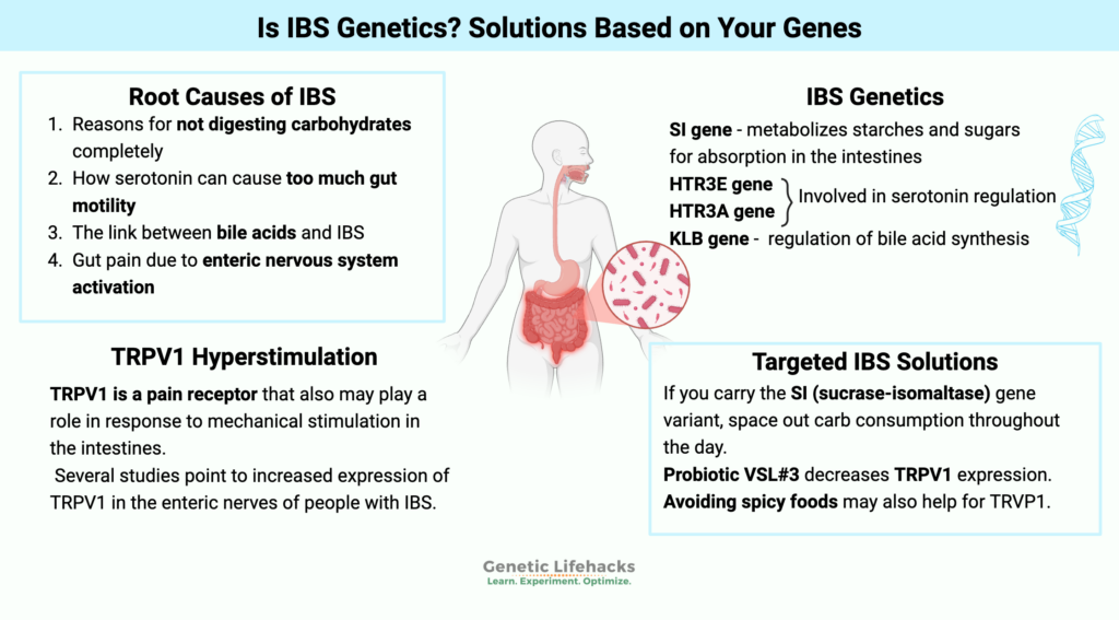 Irritable Bowel Syndrome (IBS): Targeted Solutions Based on Your Genes