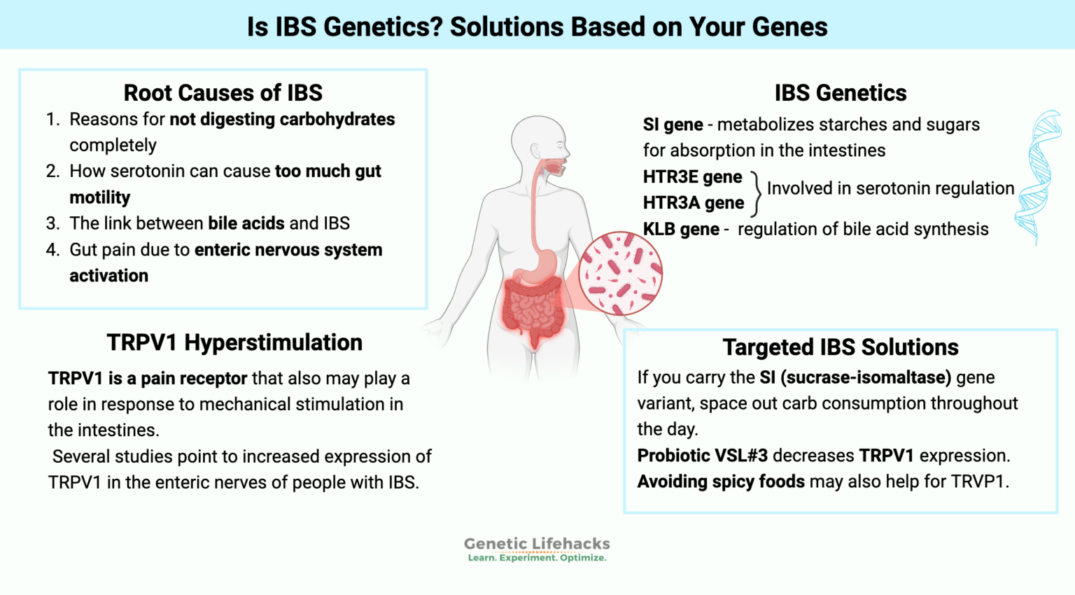 Irritable Bowel Syndrome (IBS): Targeted Solutions Based on Your Genes