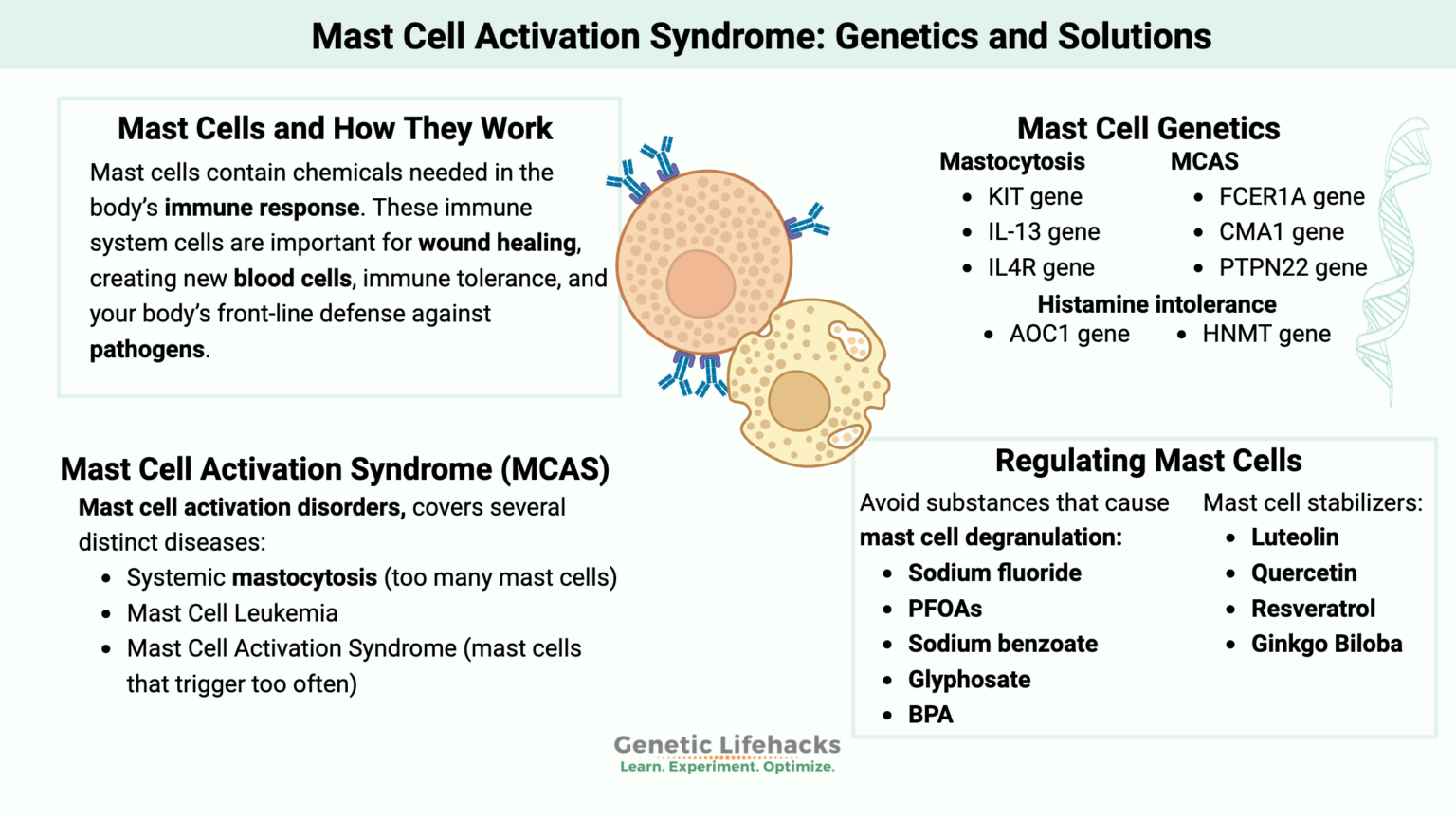 Mast Cell Diseases: MCAS, Genes, and Solutions