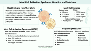 Mast Cell Diseases: MCAS, Genes, and Solutions
