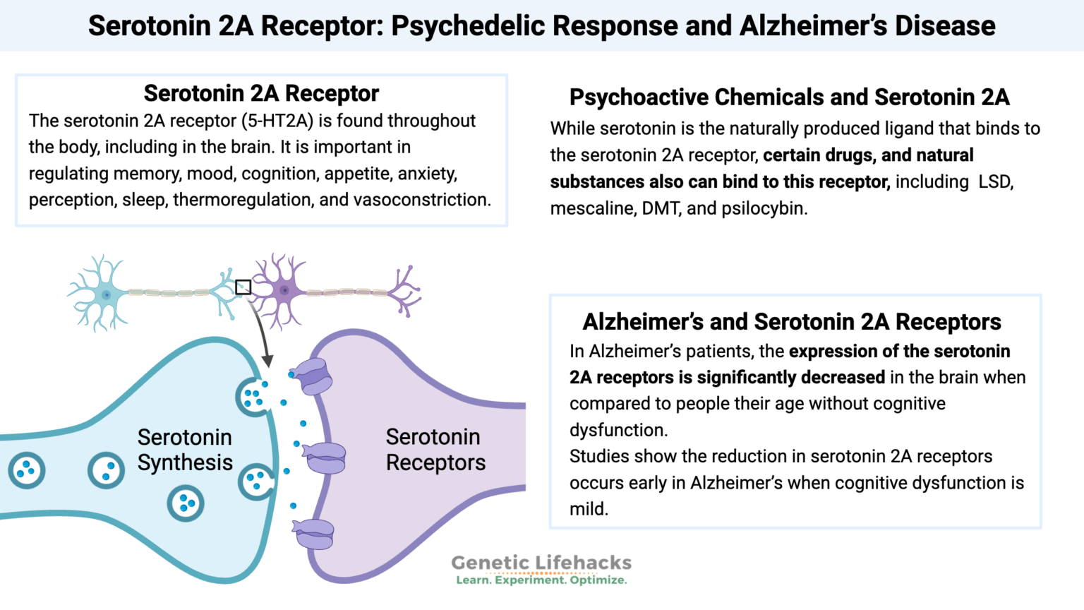 Serotonin 2A receptor: Psychedelic response and Alzheimer's disease