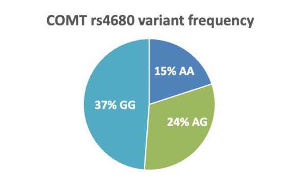How to check your genetic data for COMT - Genetic Lifehacks