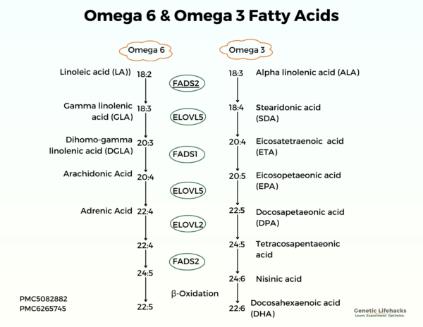 Specialized Pro-resolving Mediators (SPMs): The Resolution of Inflammation