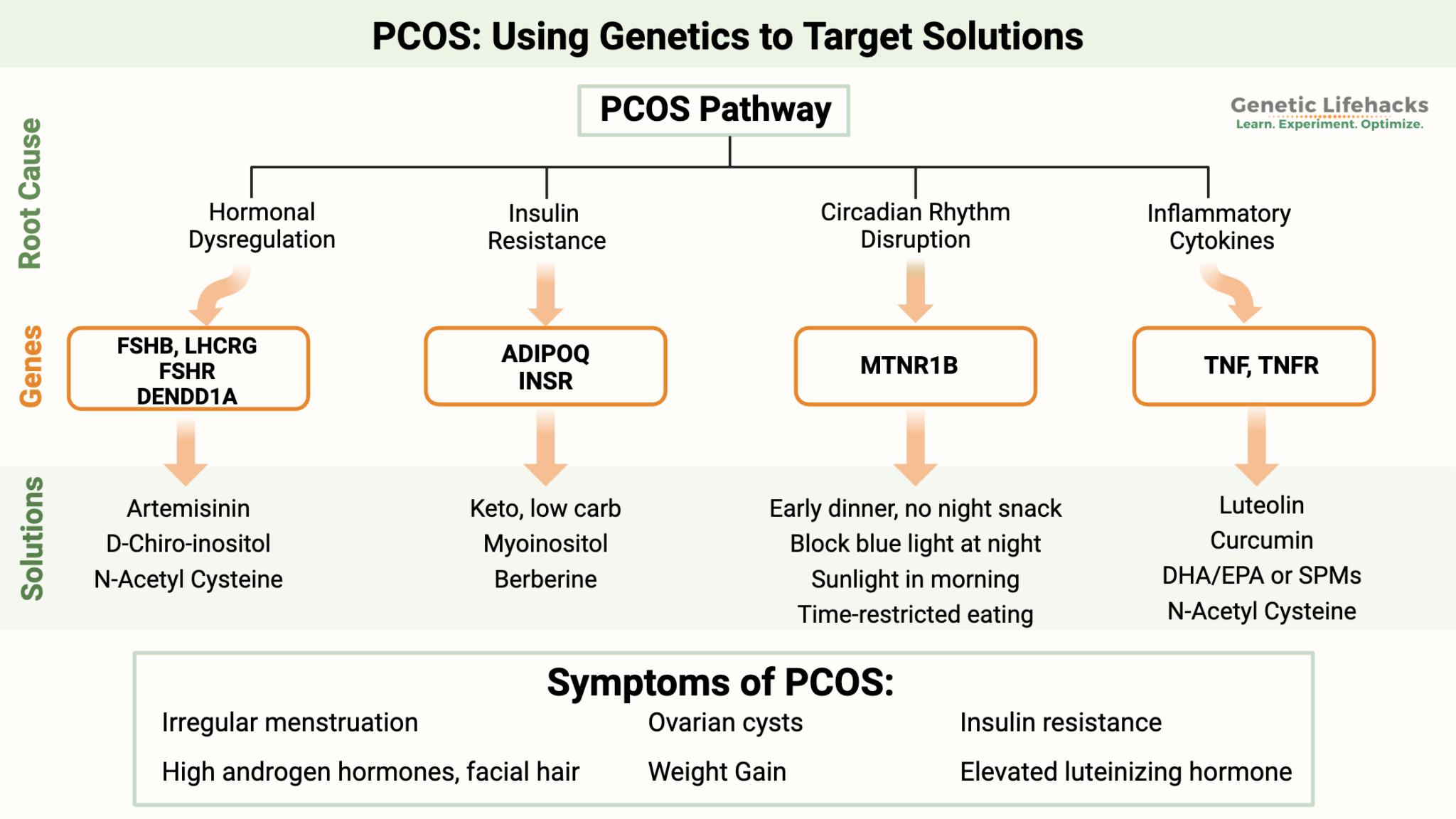 PCOS: Causes, Genetics, and Natural Solutions - Genetic Lifehacks