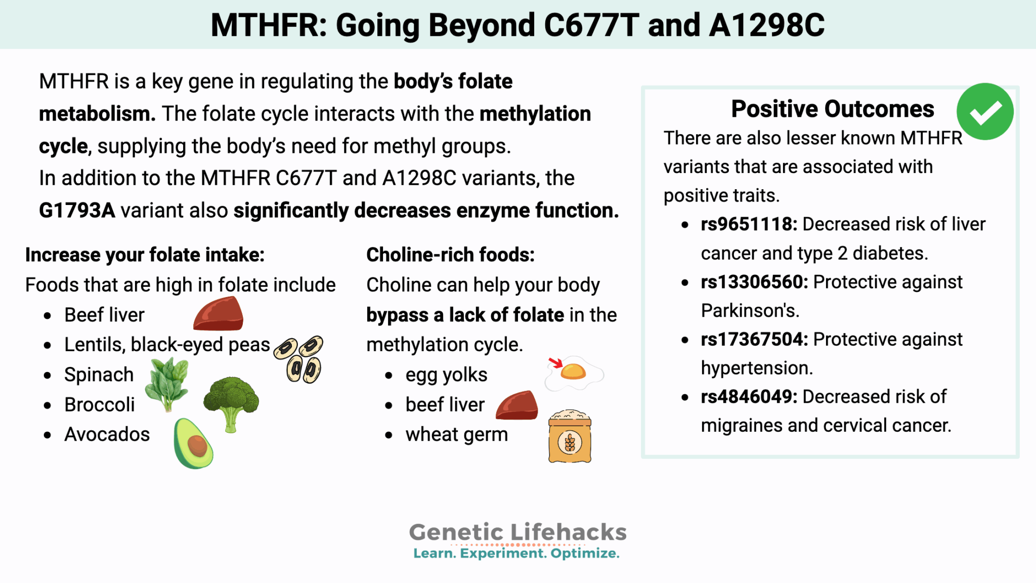 MTHFR: Going Beyond C677T and A1298C