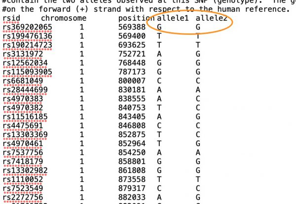 How to check your genetic raw data for an rs id number (23 and Me or ...