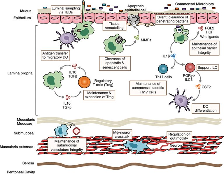 Genetics and Food Allergies