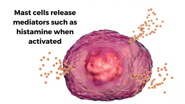 Ehlers Danlos Syndrome: Genes, Types, and Treatments
