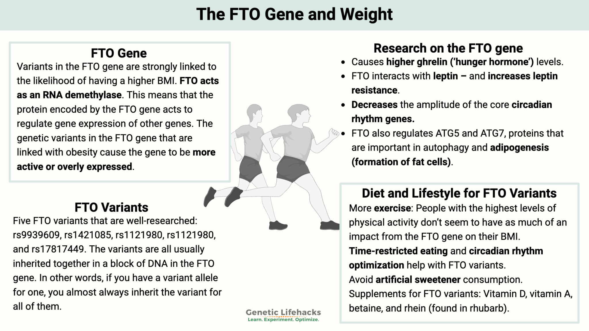 The FTO Gene and Weight